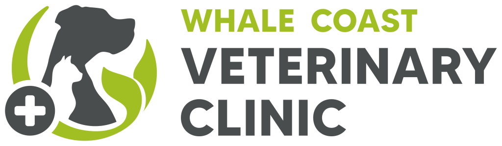 Whale Coast Veterinary Clinic – Veterinary Clinic Sandbaai